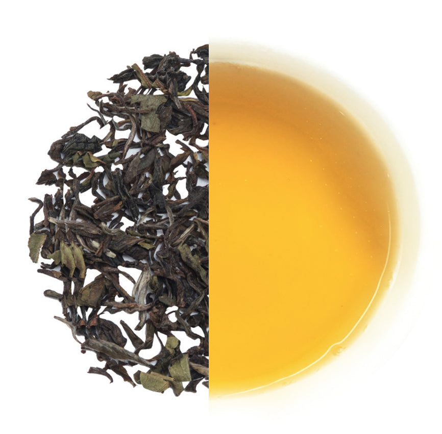 Glenburn Darjeeling First Flush Tea (2023 Harvest) – Glenburn Fine Tea